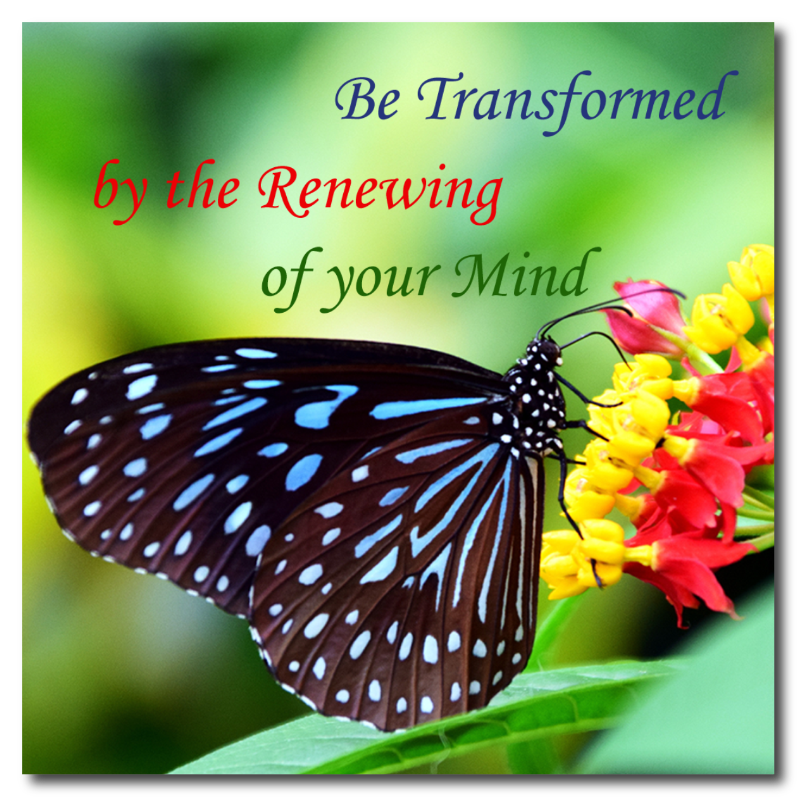 Inspirational Gift - Be Transformed by the Renewing of your Mind - Fro ...